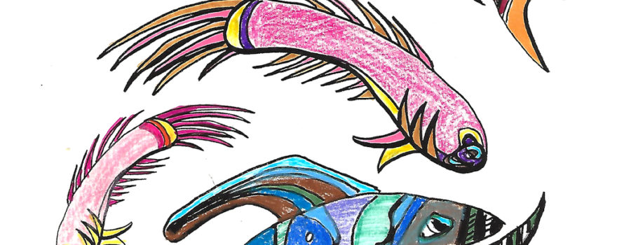 Blog | Fish Out of Water Coloring Book