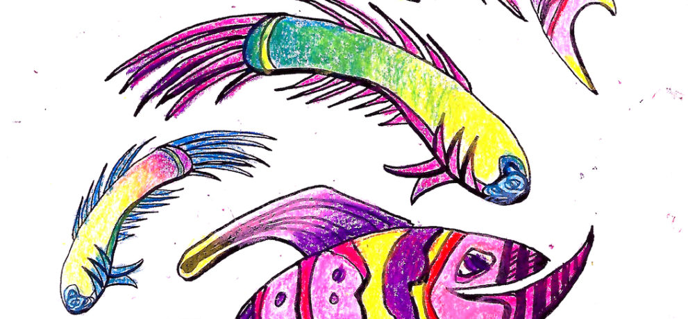 Indian Fish - Crayon and Marker by Jenna Bernstein - Fish Out of Water ...